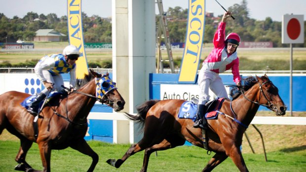 Perth racing fans gear up for massive Ascot carnival