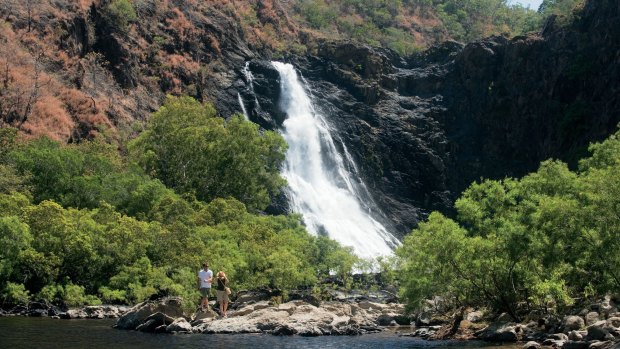 Far North Queensland road trip: Travel tips on driving Cape Tribulation ...