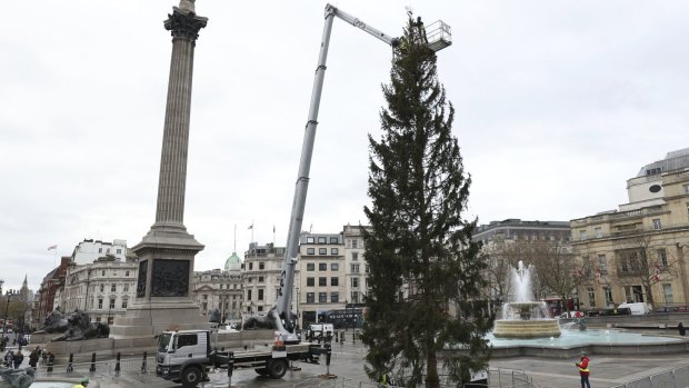 London's Trafalgar Square Christmas tree mocked as 'half dead'