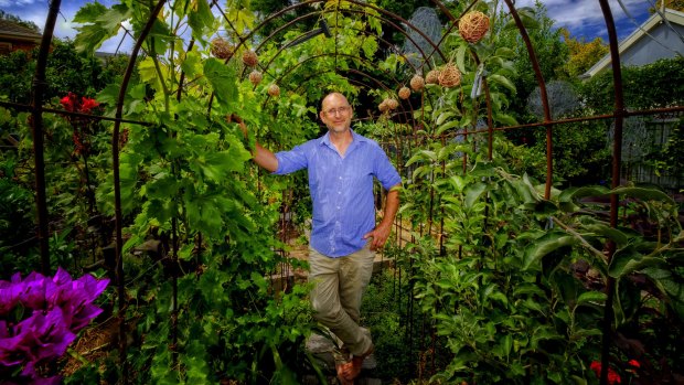David Elliot creates a maximalist garden tapestry in Footscray