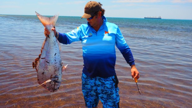 Cockburn Sound fish kill: mystery deepens as new deaths surface