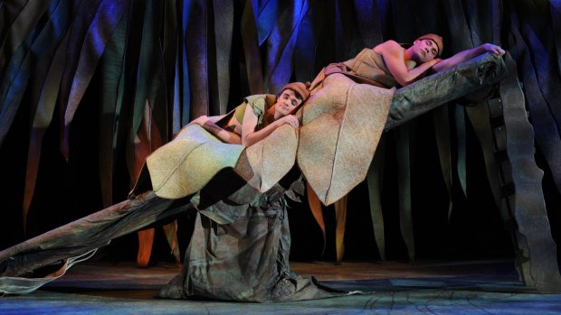 Review: Snugglepot and Cuddlepie return with appealing stage antics