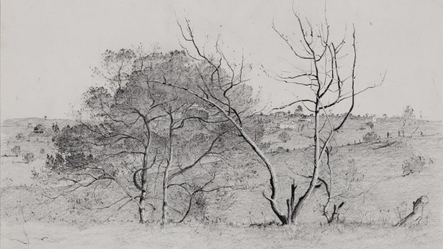 Review: Lloyd Rees, Painting with Pencil