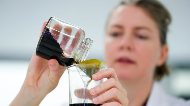 Sydney Festival artist Cat Jones led by the nose to create scents of ...