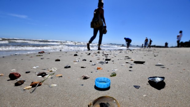 Australians still trashing their beaches and streets, national report finds