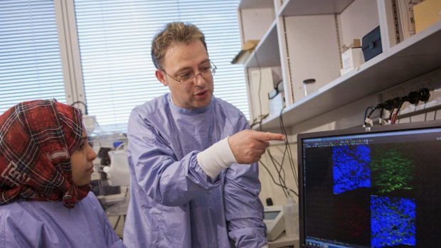 Helping to solve the MS riddle