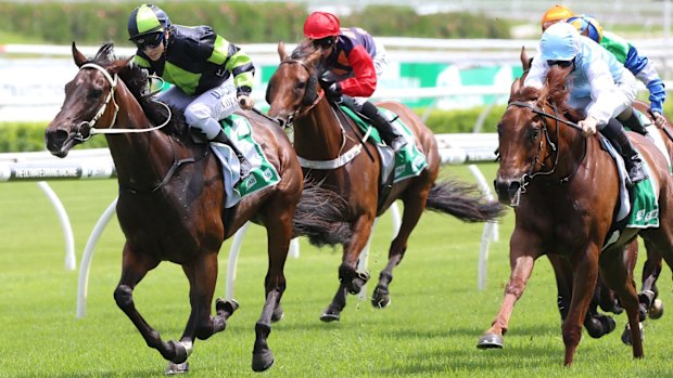 Luke Pepper has spicy hopes for stable import Appoint Percy