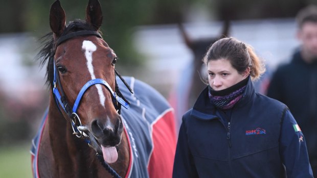 After a shaky start Willie Mullins may have the knack to Cup success