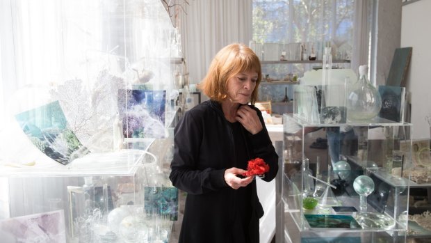 Janet Laurence brings fragility of the Great Barrier Reef to Paris ...