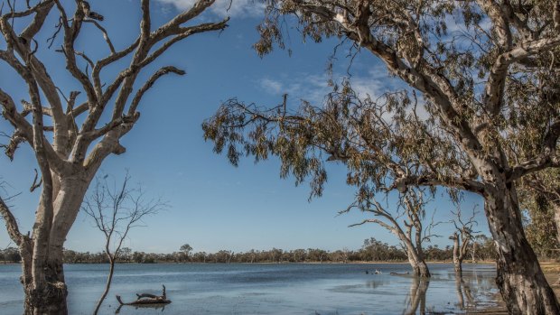 Six reasons to visit Charlton: the Avoca River, Rex Theatre, OK Motels ...