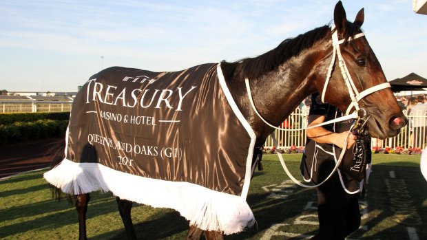 Chris Waller's 13 group 1 wins partly due to advice of bloodstock agent ...