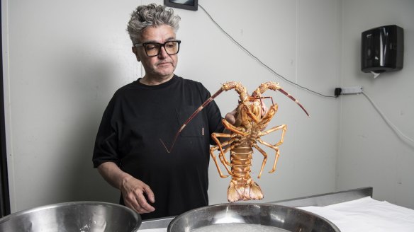 how to cook live lobster humanely