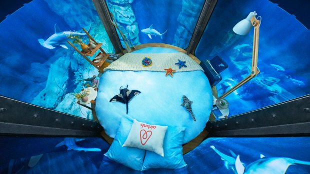 Paris aquarium: Dare to sleep in an underwater room surrounded by sharks?