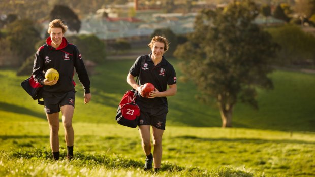 Harry and Ben McKay have talent spotters looking twice ahead of AFL ...