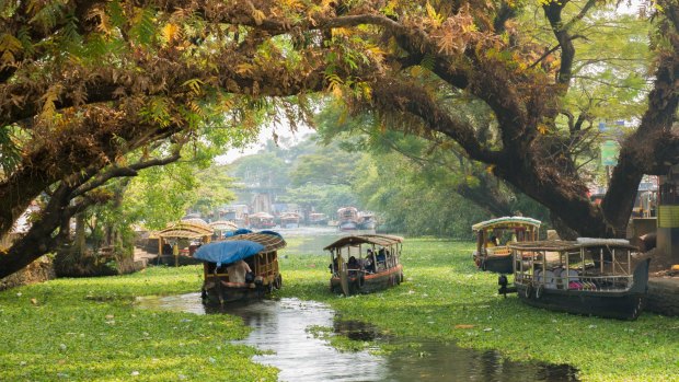 Exploring the backwaters of Kerala: The quintessential travel ...