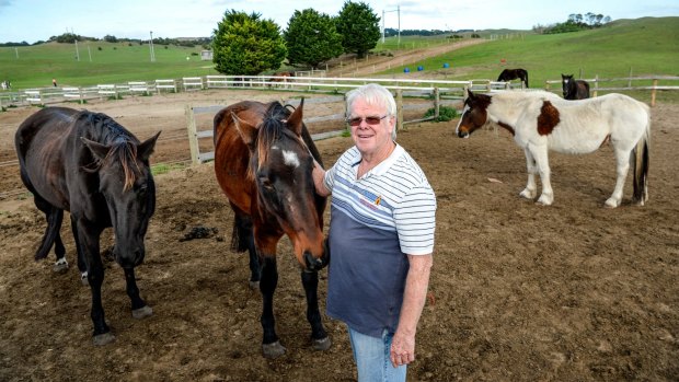 'How many horses have to die?': RSPCA raids Mornington Peninsula trail ...