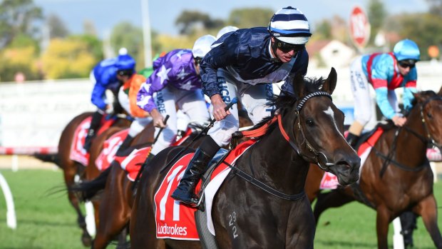 Racing: Mick Kent looks to defy spring convention with stable star ...