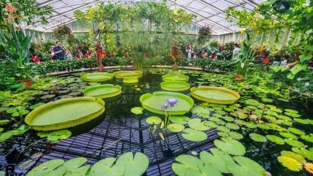 Kew Gardens, England: Where to see the most diverse collection of ...