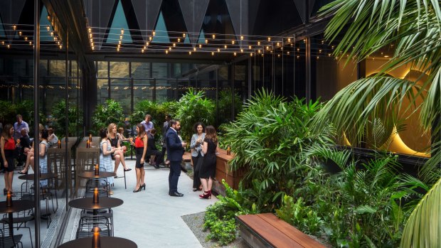 West Hotel Sydney review: CBD's botanical-themed hotel perfect for a ...