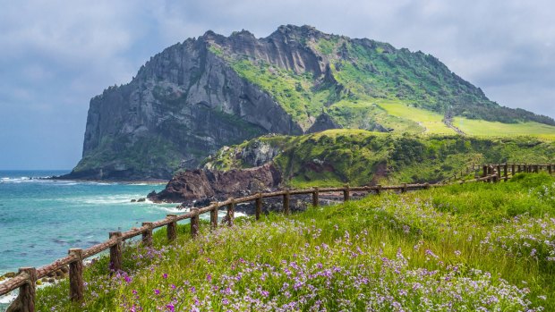 Seongapdo Island, South Korea: The real-life Squid Game island nobody ...