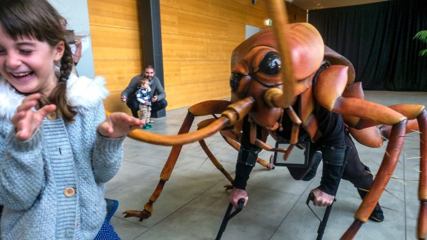 Bug Lab: Melbourne Museum's latest show explores super-powered world of ...