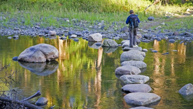 The secret ravines of Queensland's Carnarvon Gorge