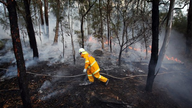 Statistics show the real cause of bush fires across NSW
