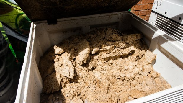 Pingala community-owned solar project to hit the roof of Young Henrys ...