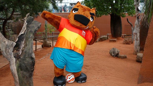 Nutmeg the wombat unveiled as mascot for Asian Cup tournament