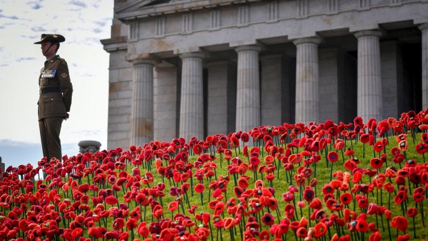 Remembrance Day: in a field of poppies at the Shrine the fallen are ...