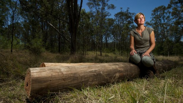 Wildlife habitat takes flight on Cumberland Plain