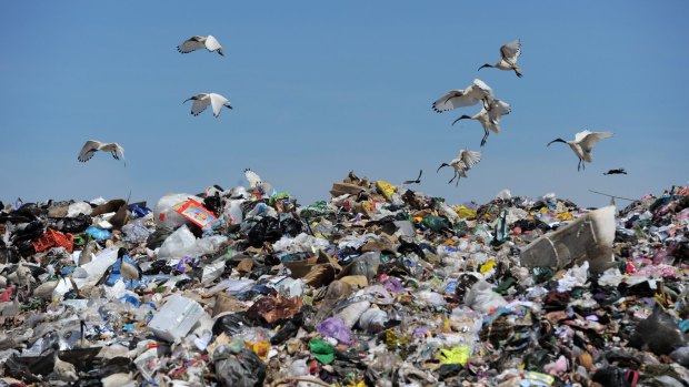 An end to landfill for eight Perth councils with Australian-first ...