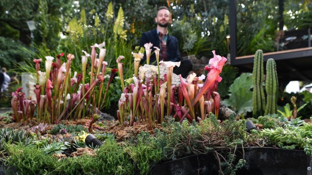 Designers on show reflect our changing environment