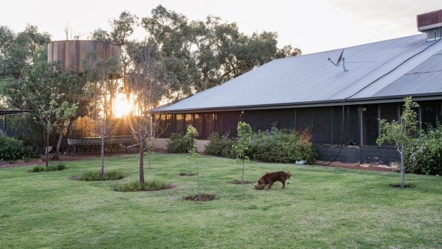Regional NSW's best travel experiences - and the women who created them