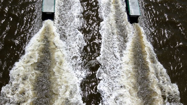 RiverCat ferries blamed for 'sinkholes' and erosion along Parramatta River