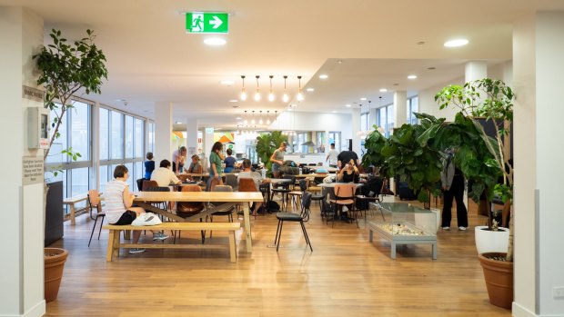 YHA Sydney The Rocks refurbishment: The best view in Sydney just got ...