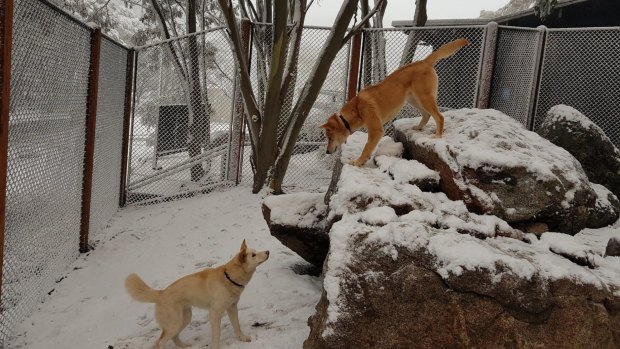 Snow time: Tips to make the most of your skiing dollars