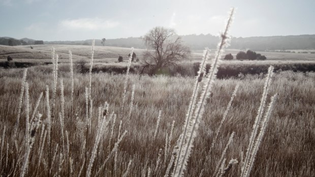 Canberra the coldest place in Australia Thursday morning as frost sets in