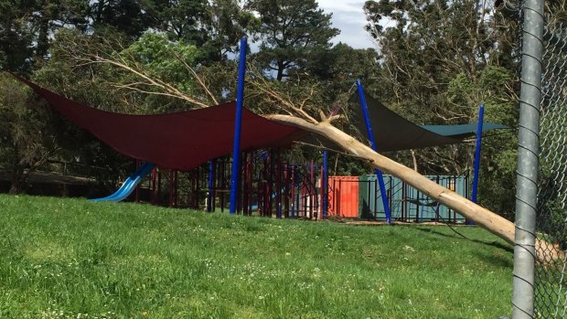 Victoria weather: Strong winds leave thousands of homes without power