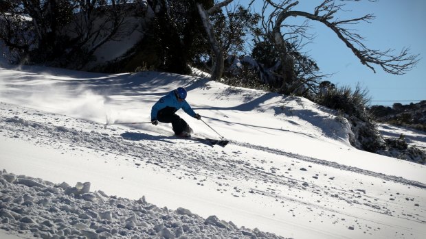 Clear skies, light winds expected for 'excellent' ski season opener at ...