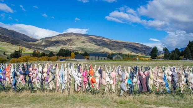 What's the story behind New Zealand's bra fence?