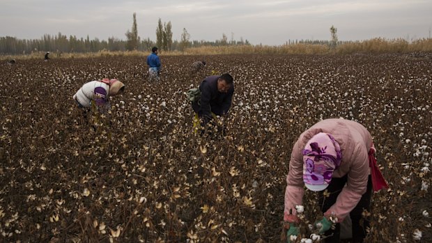 Isolated Xibe people use language skills to restore the once mighty ...