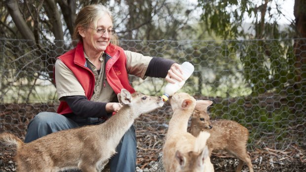 I bought a zoo: Bronwen Wilson