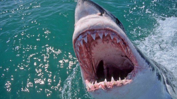 Rip currents are more deadly than sharks but we just don't take them ...