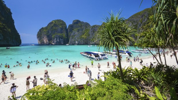 Maya Bay (AKA 'The Beach'), Thailand: Resort helps with famous beach's ...