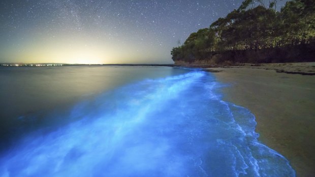 Ten of Australia's most amazing natural phenomena