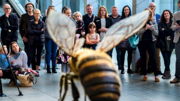 Bug Lab: Melbourne Museum's latest show explores super-powered world of ...