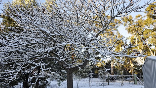 Sydney weather: Winter arrives with icy blast, snow at alpine resorts