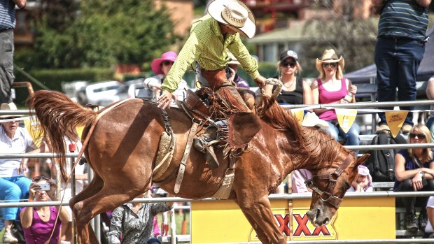 Summer Planner: Wednesday 23 December