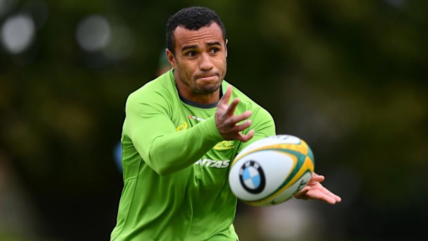 Will Genia and Michael Cheika look to Scotland but put England headache ...